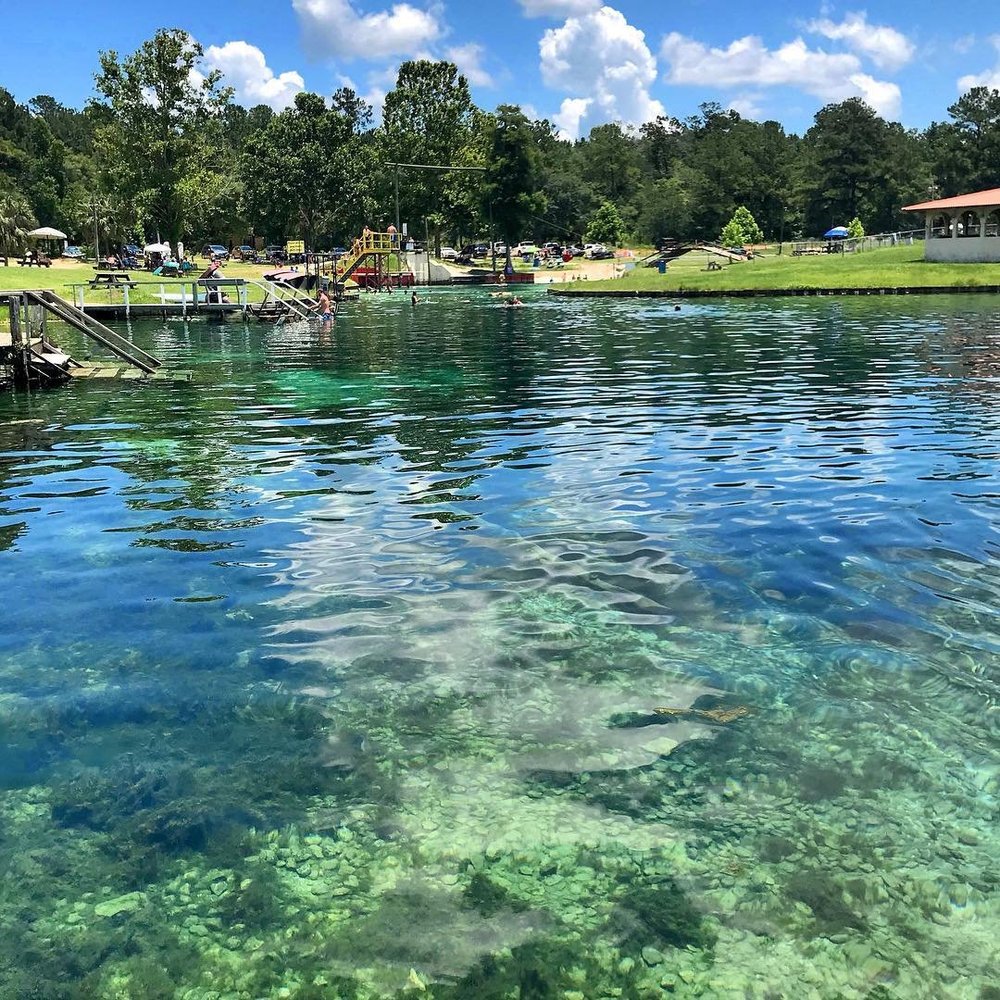 Vortex Spring - Updated 2024 Guide