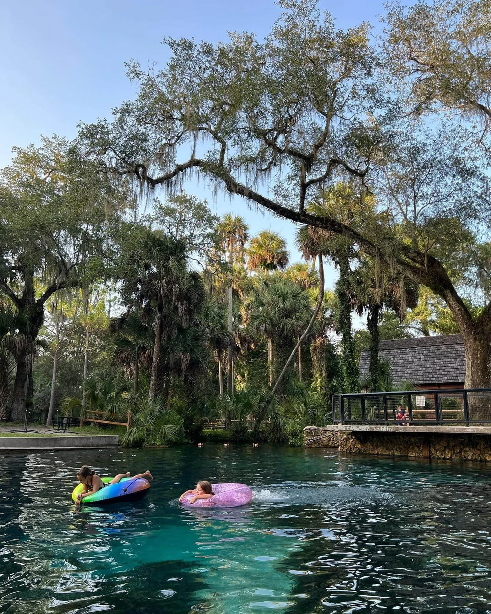 Juniper Springs - Updated 2024 Guide