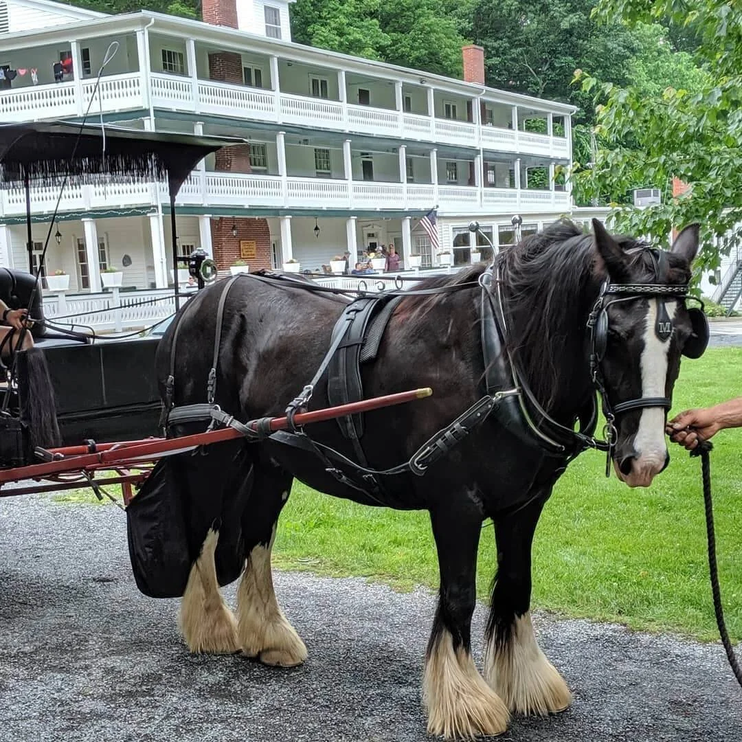 West Virginia's Hot Springs Destinations - Luxurious Soaking at Its ...