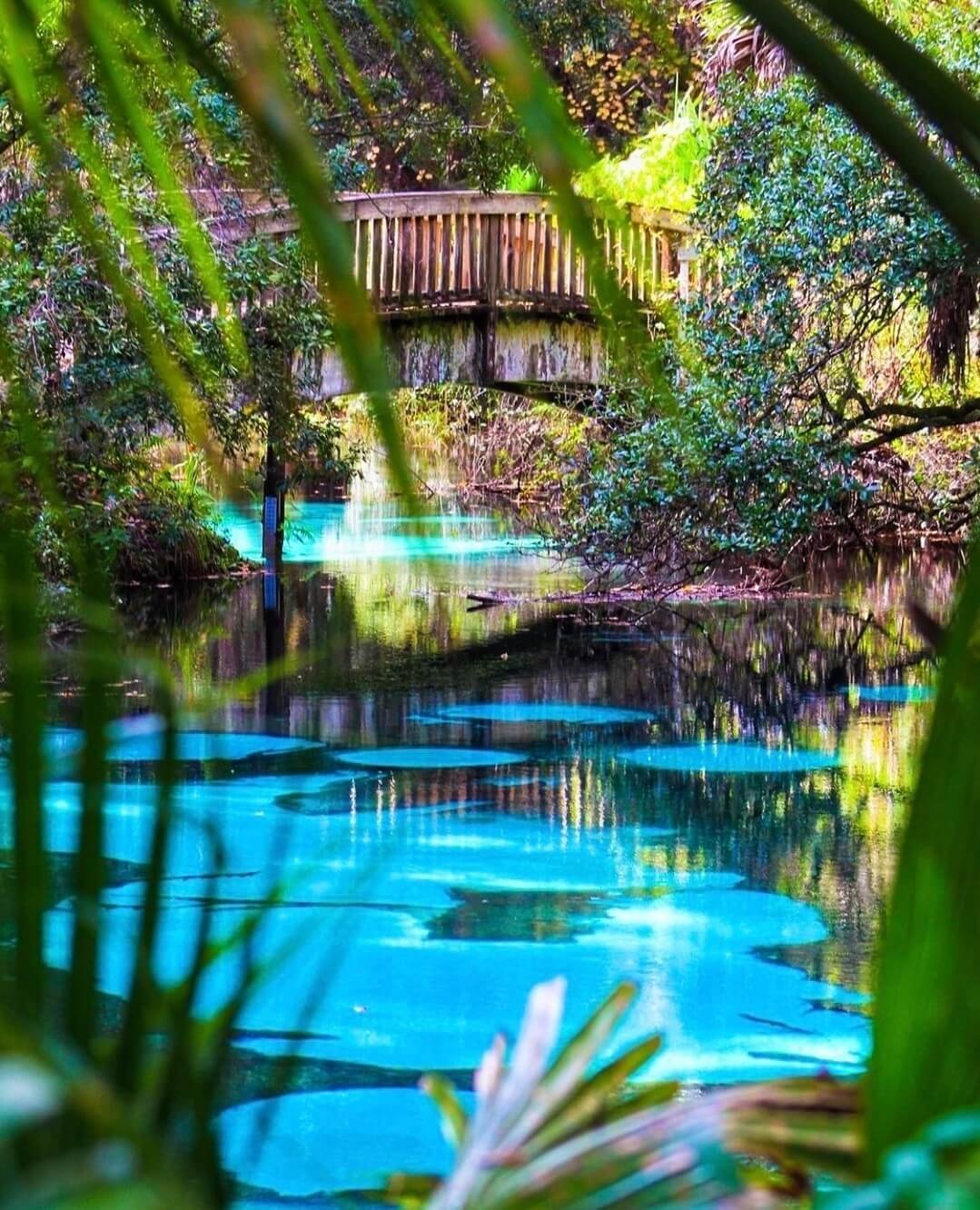 19 Best Hot Springs in Florida in 2024 – Mapped