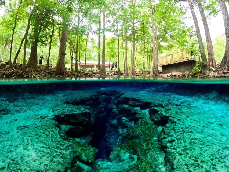 Top 19 (Hot) Springs in Florida for 2025 – Mapped