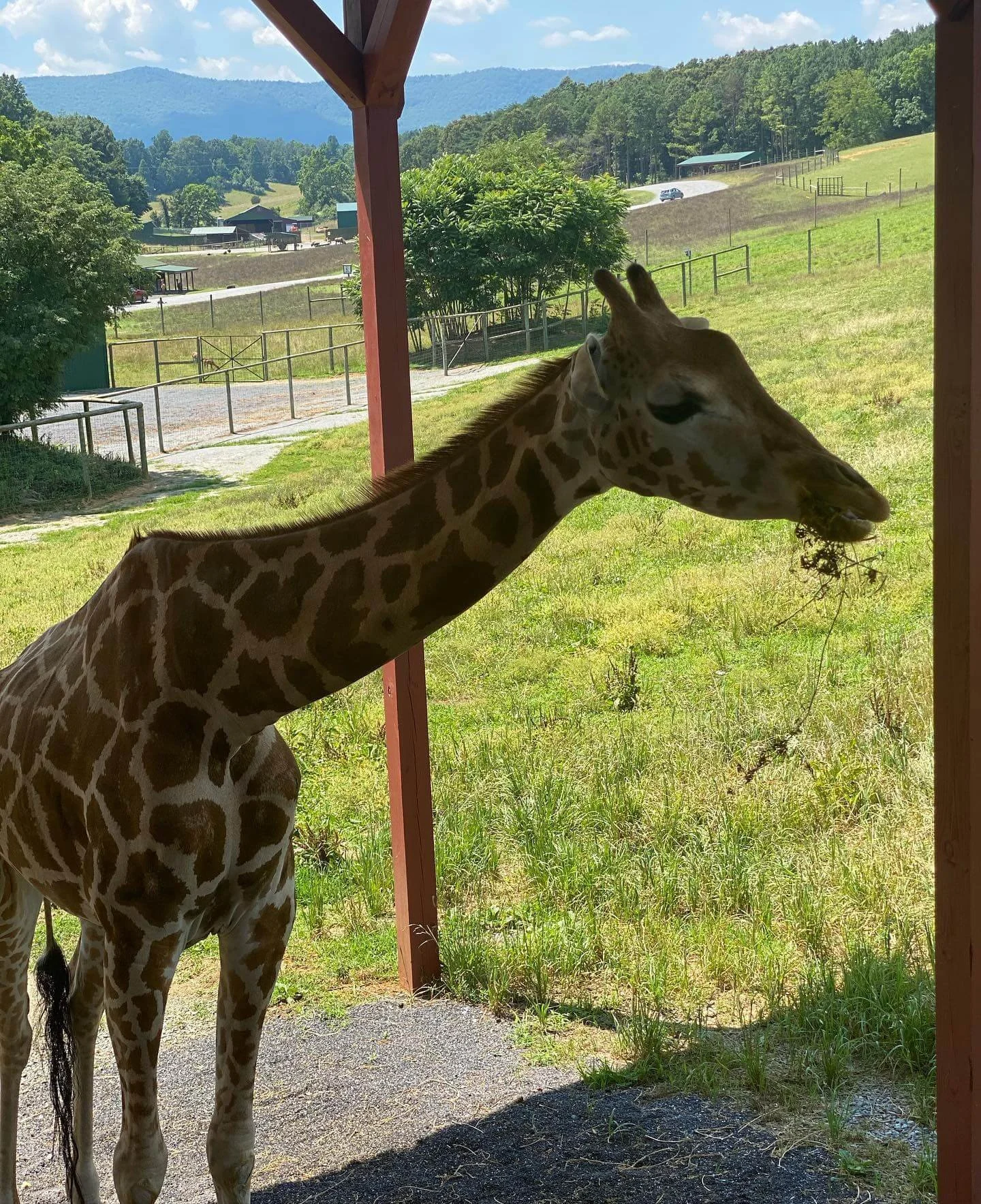 4 Best Hot Springs in Virginia - Blend of Nature and History (Updated 2025)