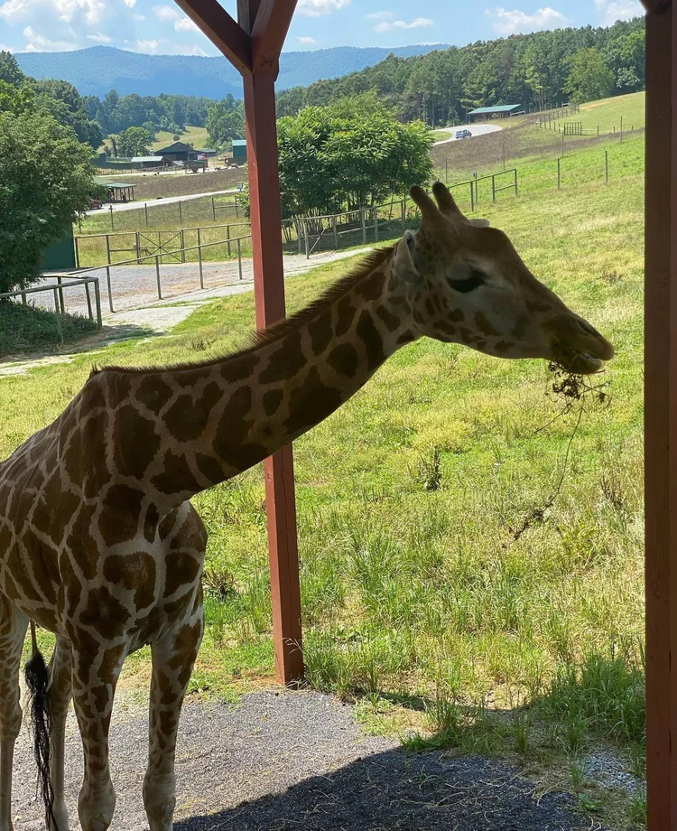 4 Best Hot Springs in Virginia - Blend of Nature and History (Updated 2025)