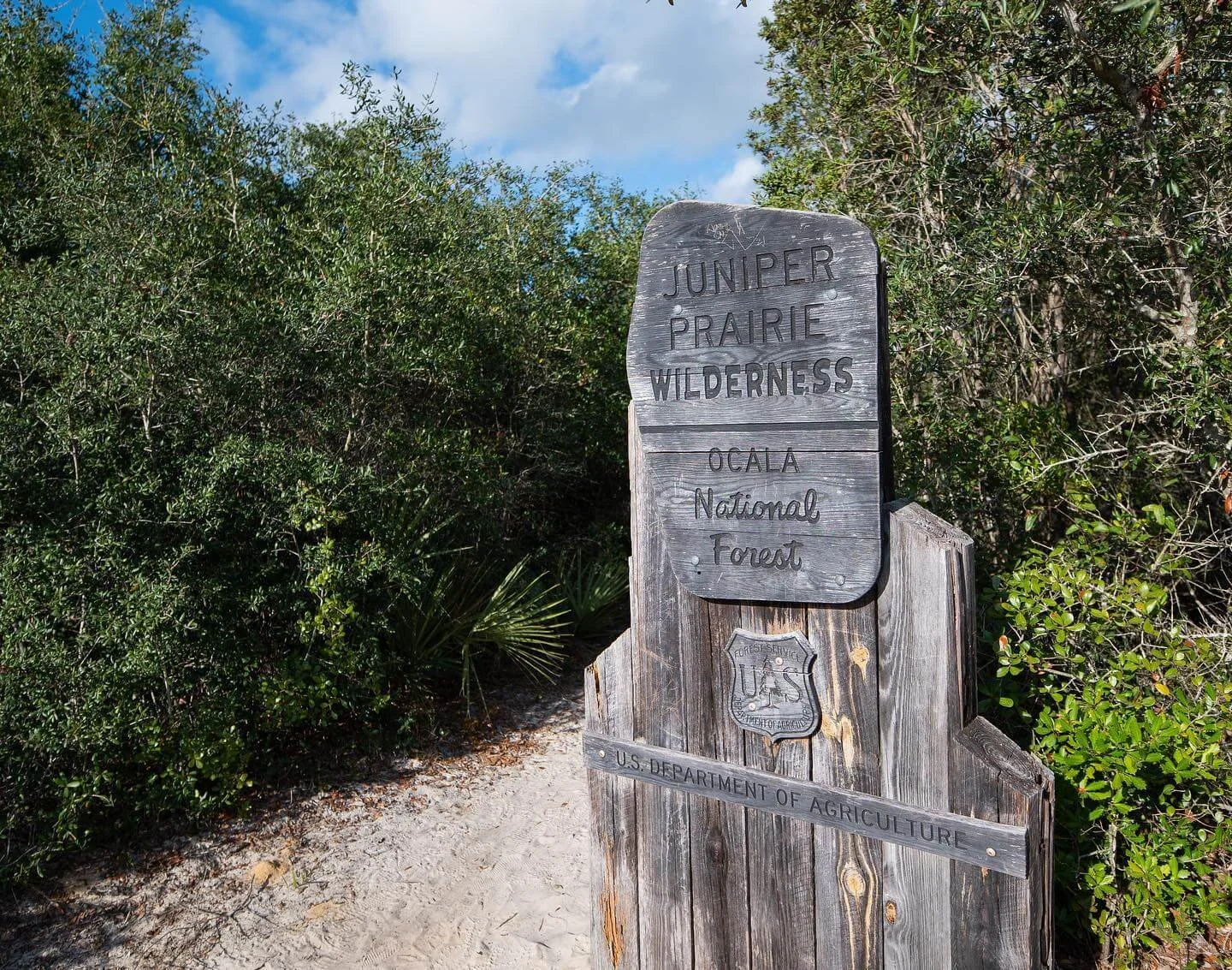 Juniper Springs, Florida - Embrace the Nature