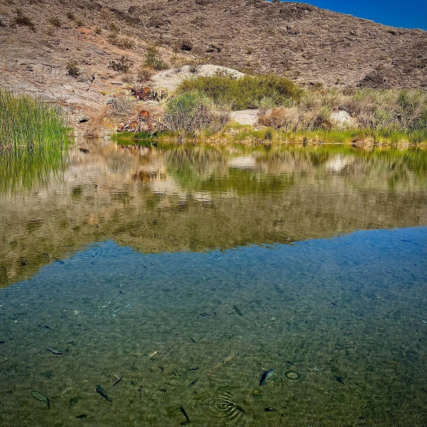 9 Best Hot Springs in Las Vegas for 2025 - Mapped