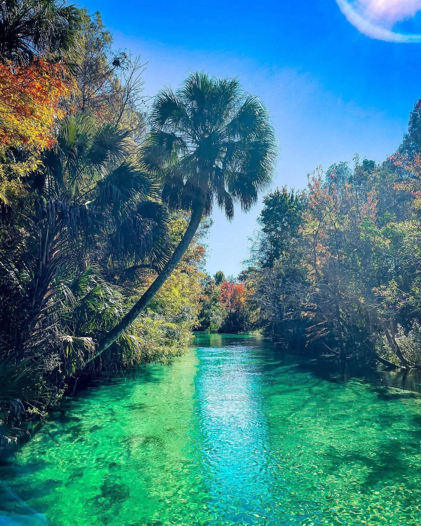 19 Best Springs in Florida in 2023 – Mapped — Finding Hot Springs