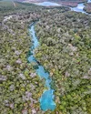 5 Natural Springs Near Orlando - Complete Guide