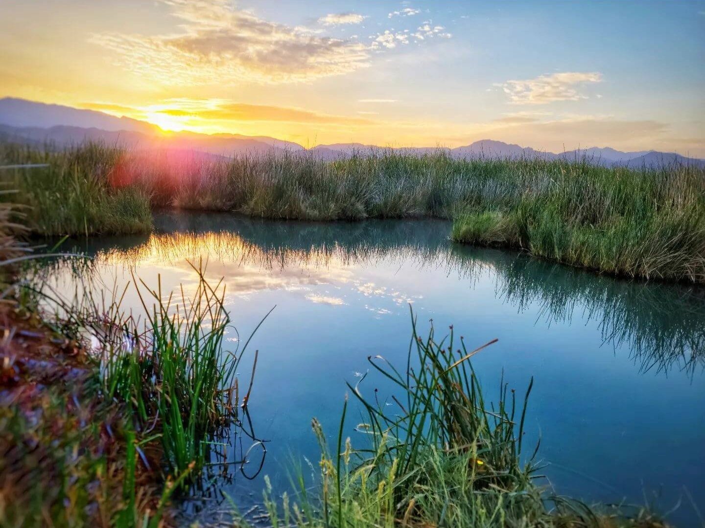 Tecopa Hot Springs - 2024 Guide