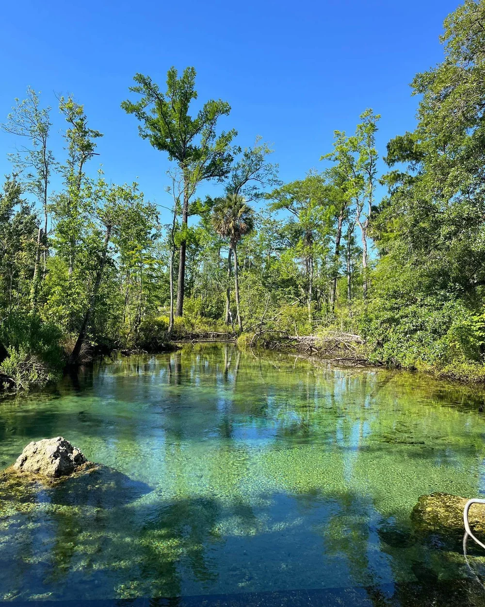 Best 8 Natural Springs Near Destin, Florida