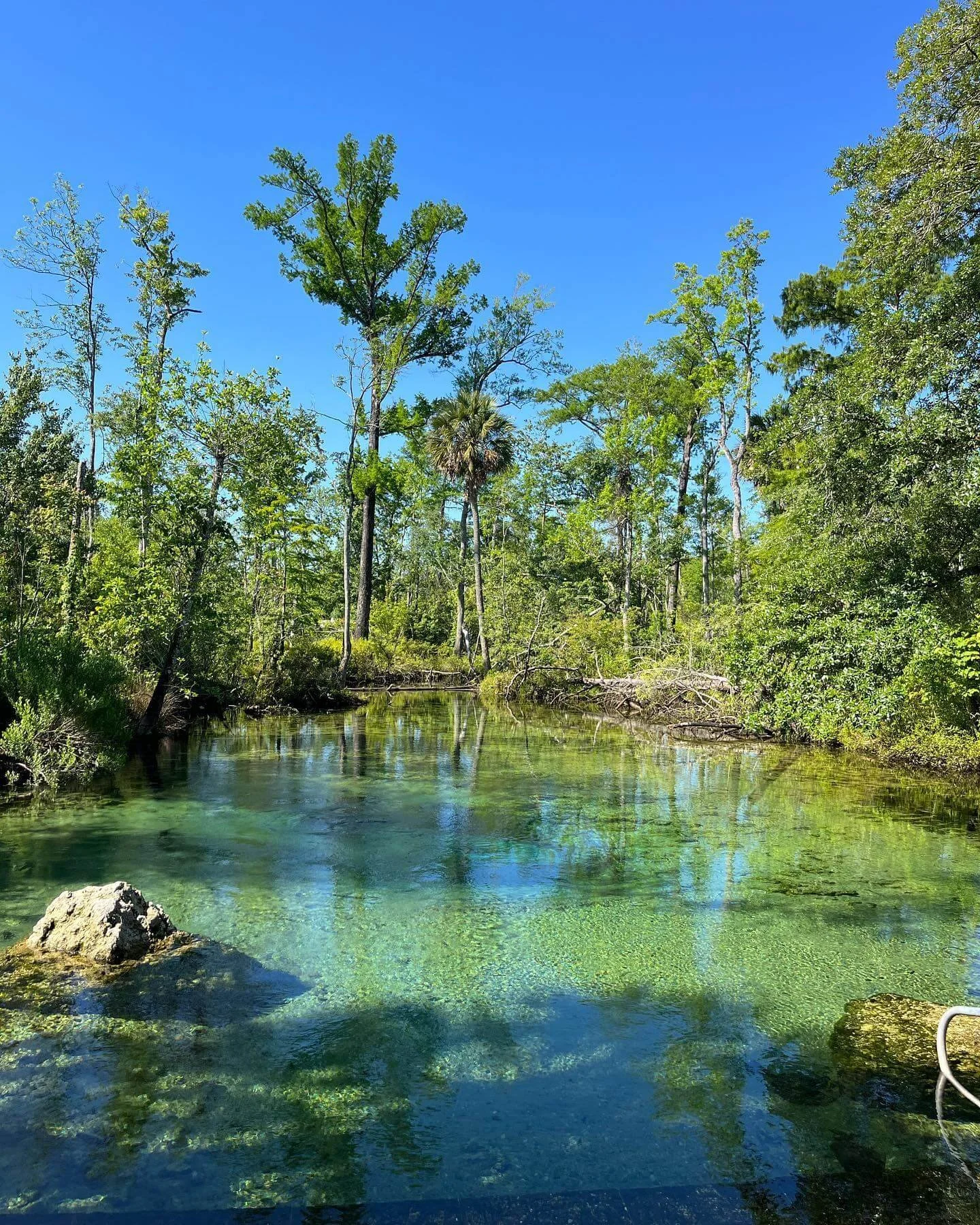 Best 8 Natural Springs Near Destin, Florida