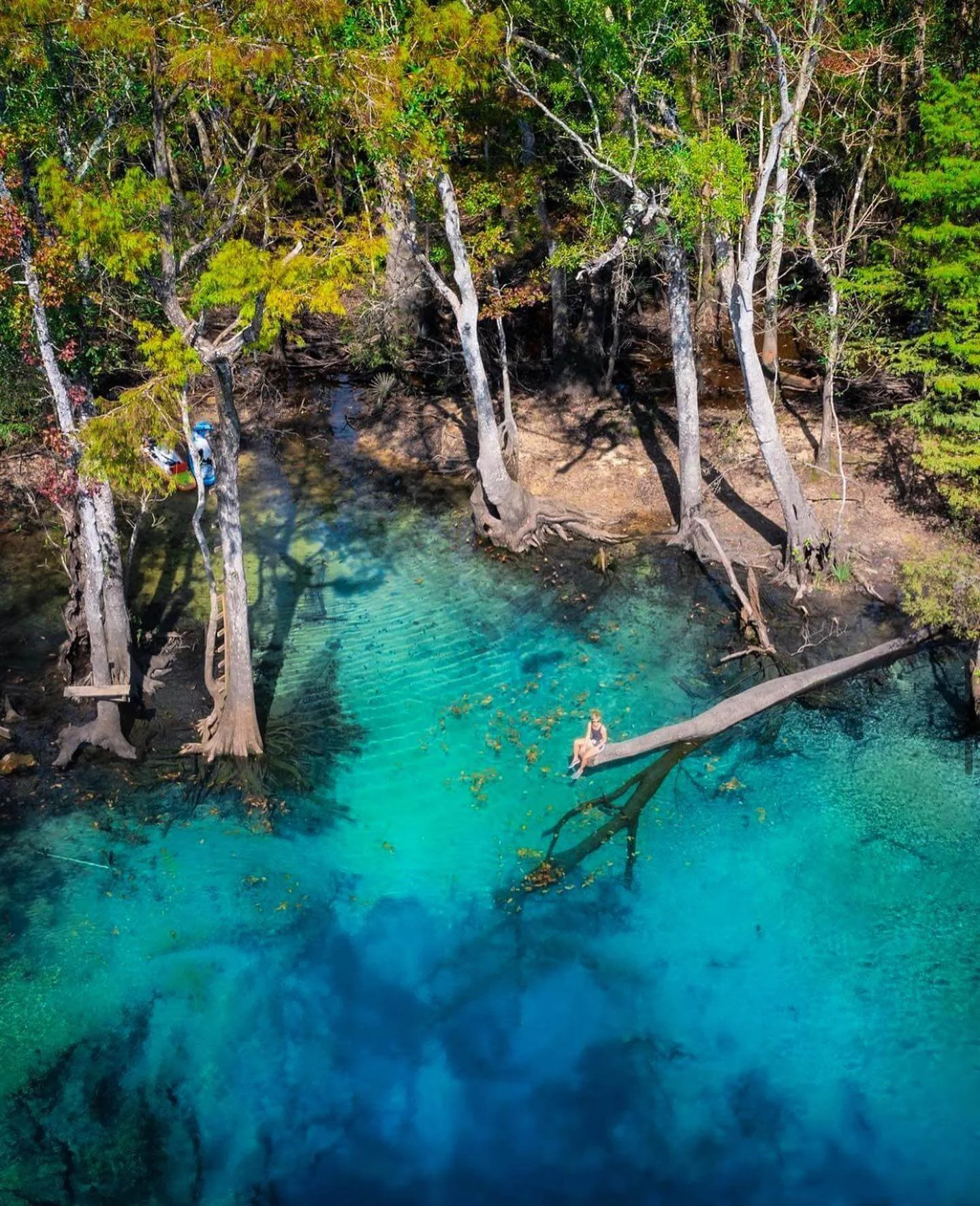 Best 8 Natural Springs Near Destin, Florida