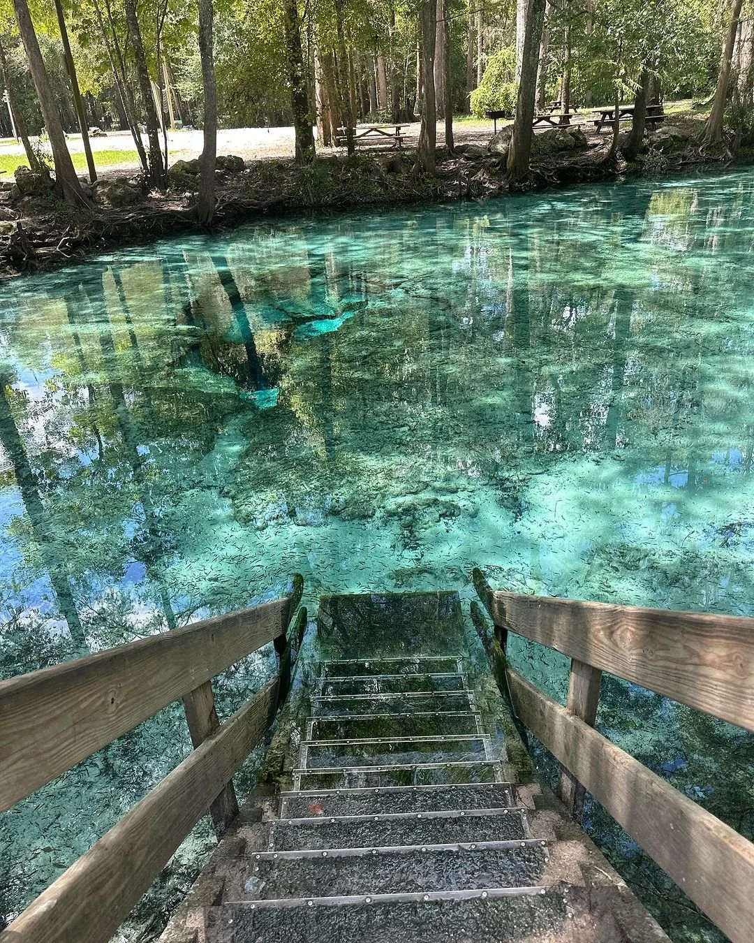 Top 19 (Hot) Springs in Florida for 2025 – Mapped