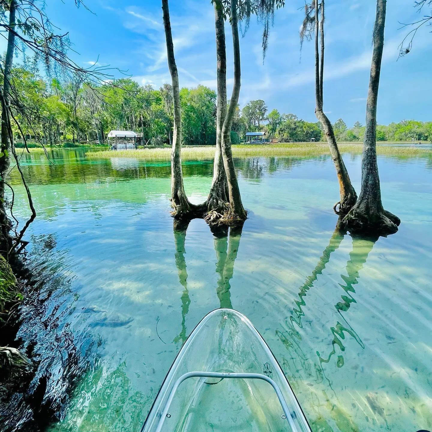 19 Best Hot Springs in Florida in 2024 – Mapped