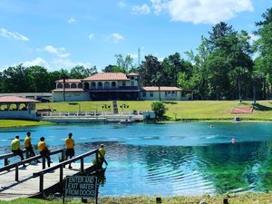 Vortex Spring - Updated 2024 Guide