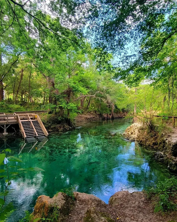 Top 19 (Hot) Springs in Florida for 2025 – Mapped