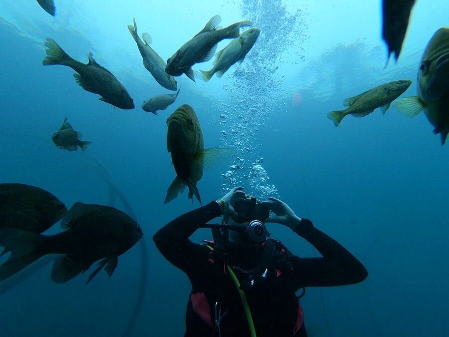 Vortex Spring - Updated 2024 Guide