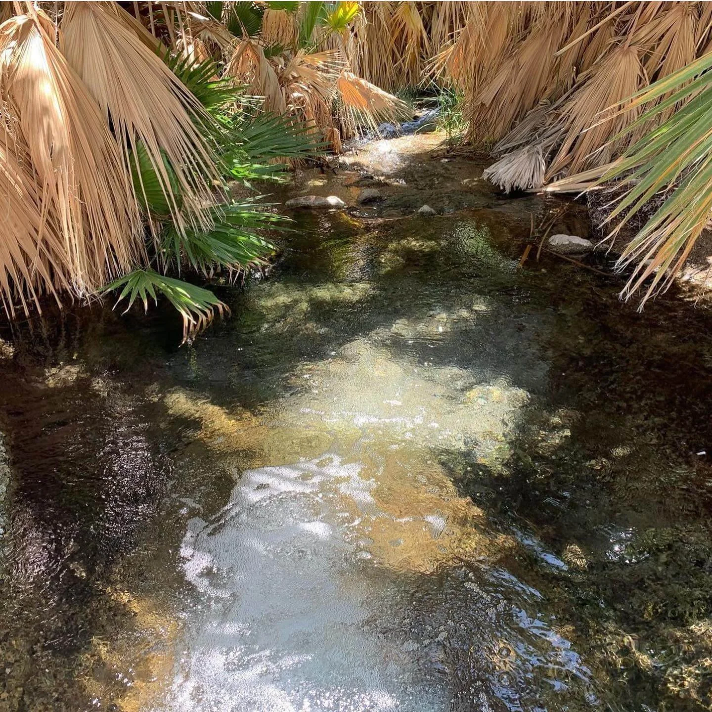 Top 15 Nevada Hot Springs - Mapped