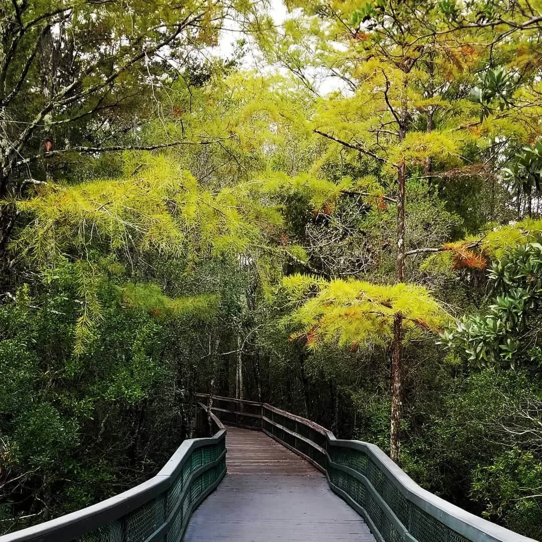 8 Best Natural Springs in Destin - Complete Guide