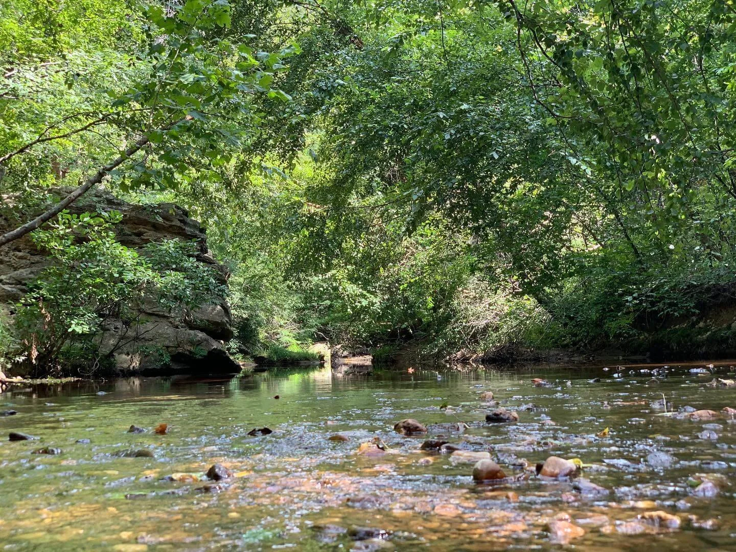 4 Best Hot Springs in Virginia - Blend of Nature and History (Updated 2025)