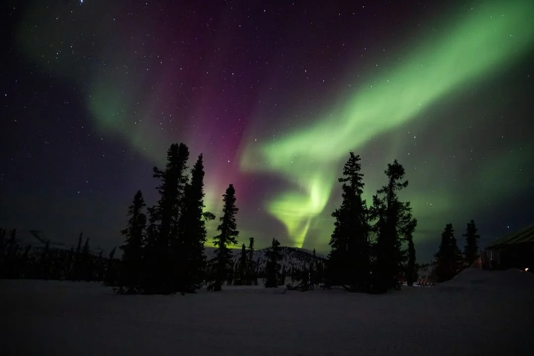 Chena Hot Springs - 2024 Updated Guide