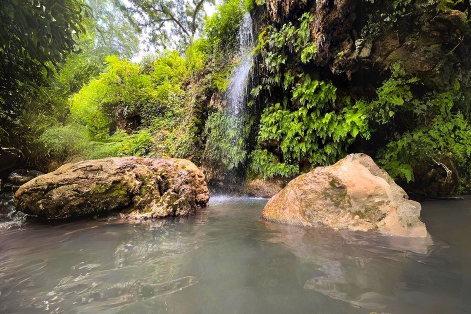 Krause Springs - Complete 2024 Guide