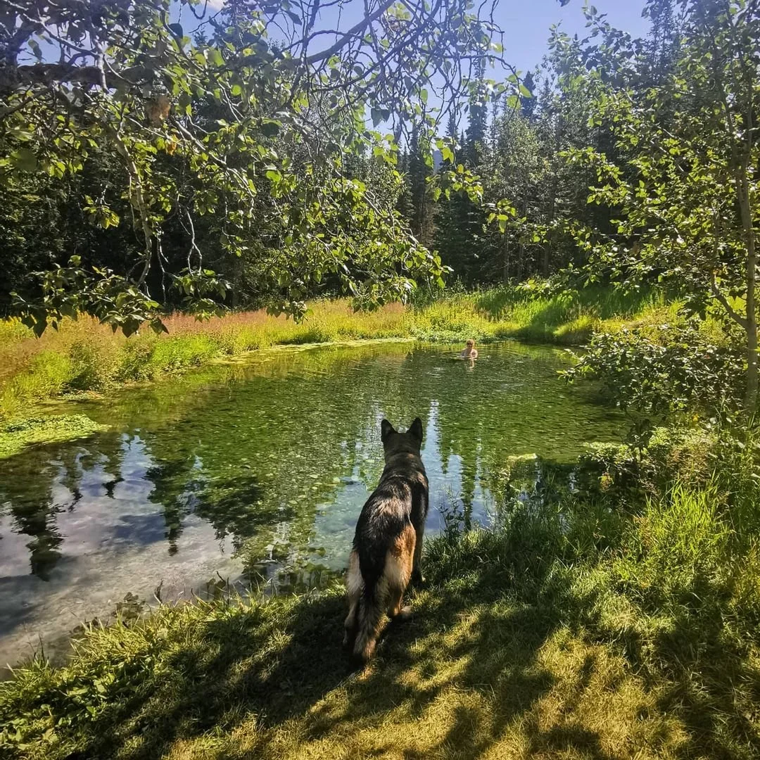 Top 96 Hot Springs in Canada - Mapped