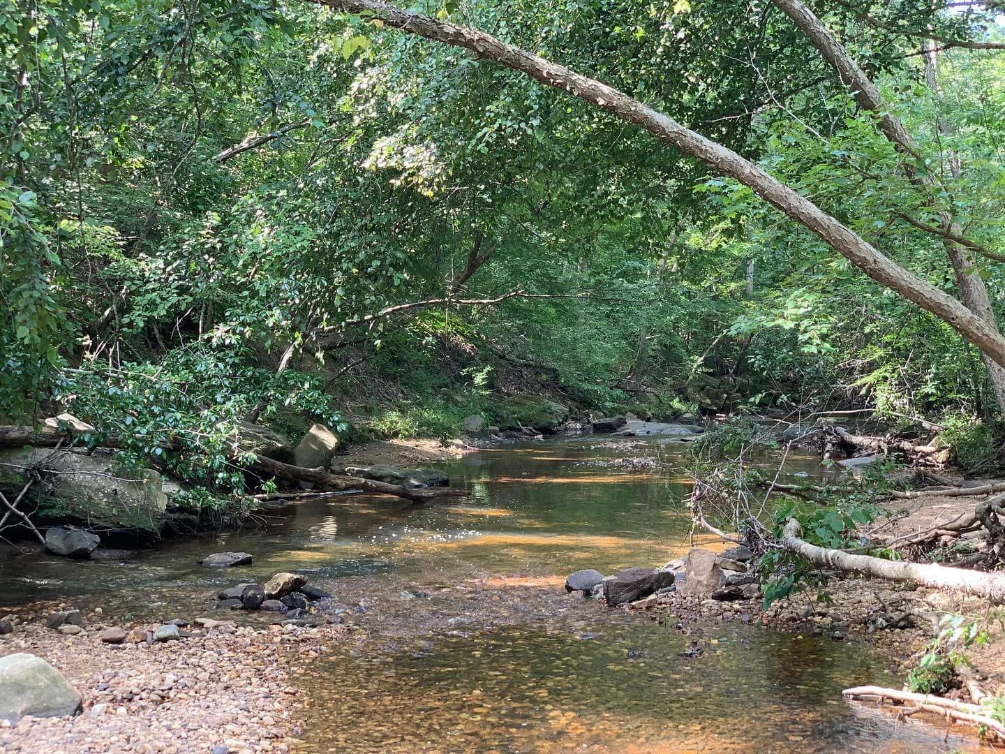 4 Best Hot Springs in Virginia - Blend of Nature and History (Updated 2025)