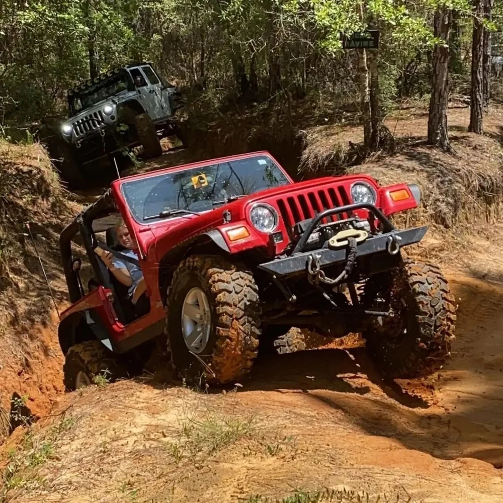 Vortex Spring - Updated 2024 Guide