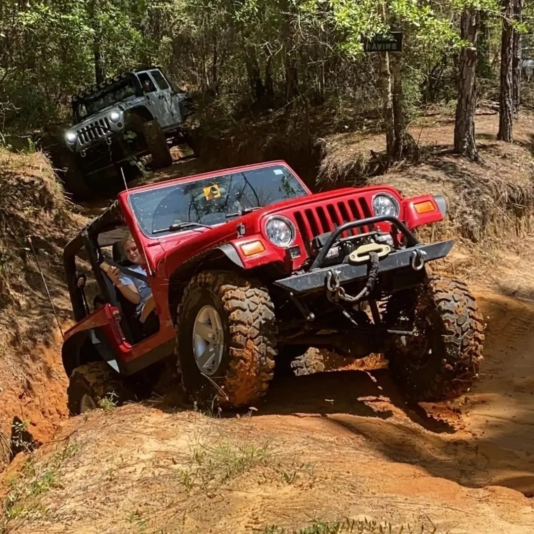 Vortex Spring - Updated 2024 Guide