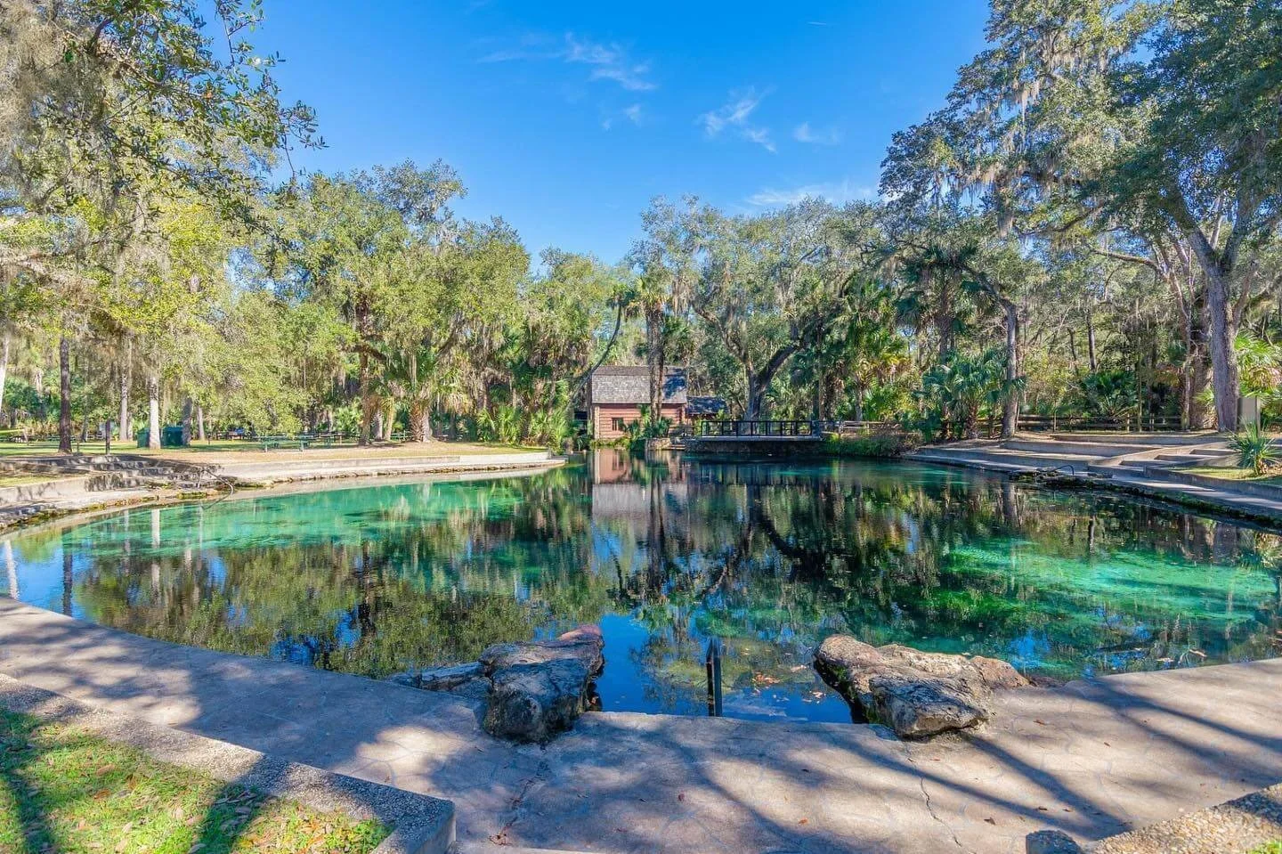 Juniper Springs - Updated 2024 Guide