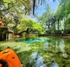 Top 19 (Hot) Springs in Florida for 2025 – Mapped