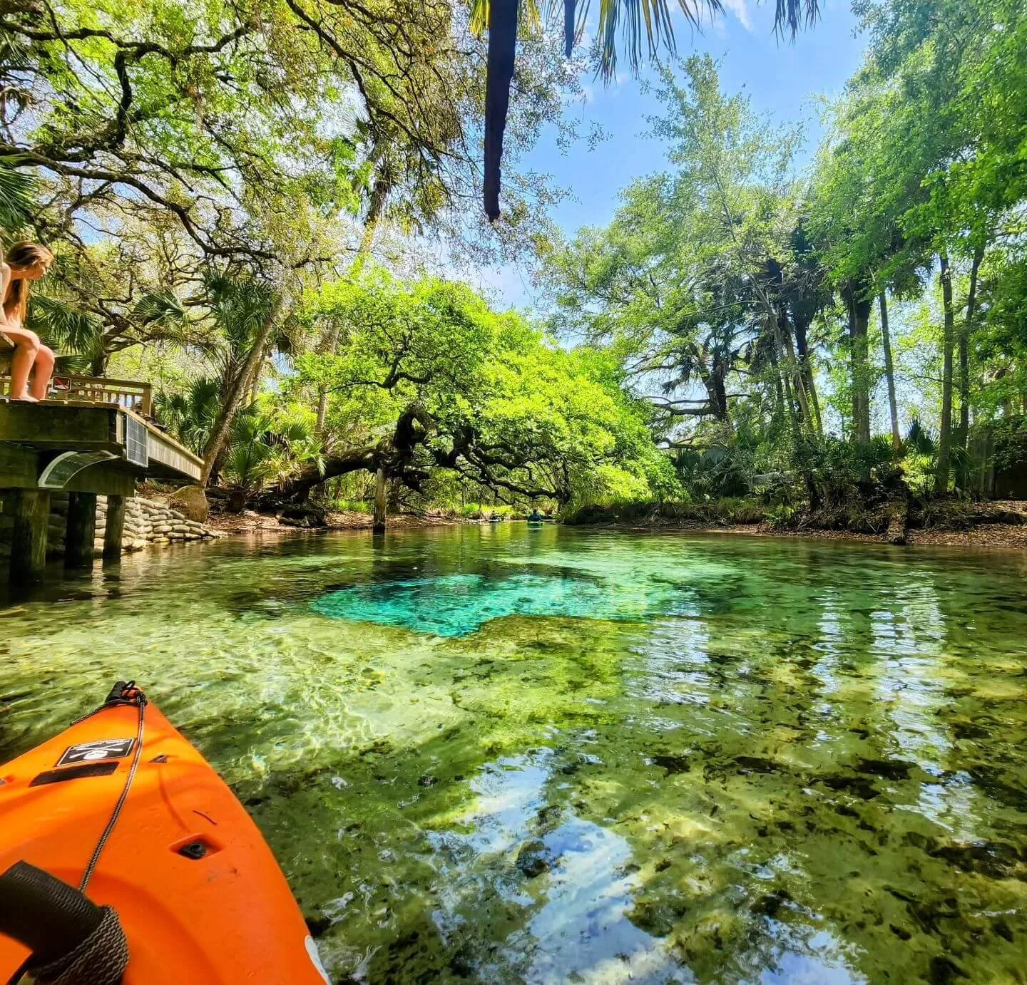 Top 19 (Hot) Springs in Florida for 2025 – Mapped