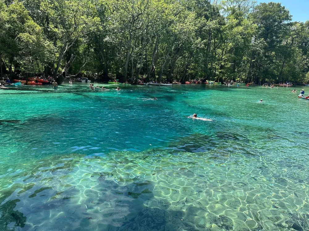 Best 8 Natural Springs Near Destin, Florida