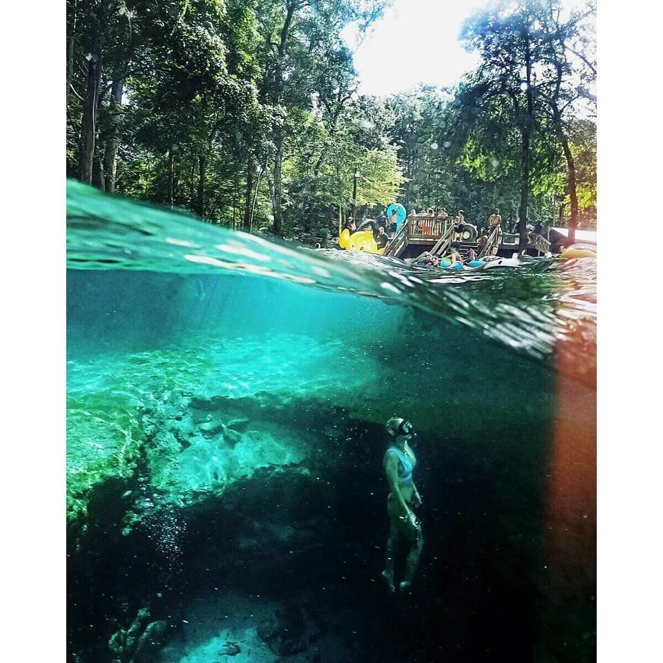 19 Best Springs in Florida in 2023 – Mapped — Finding Hot Springs