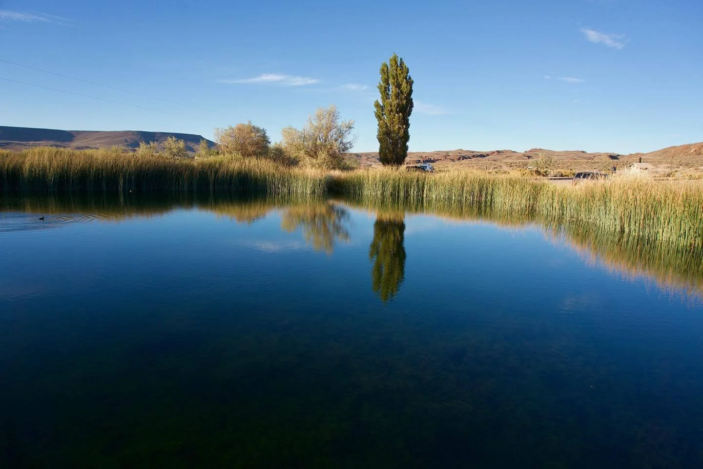 Top 15 Nevada Hot Springs - Mapped