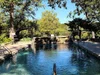 Krause Springs - Updated 2024 Guide