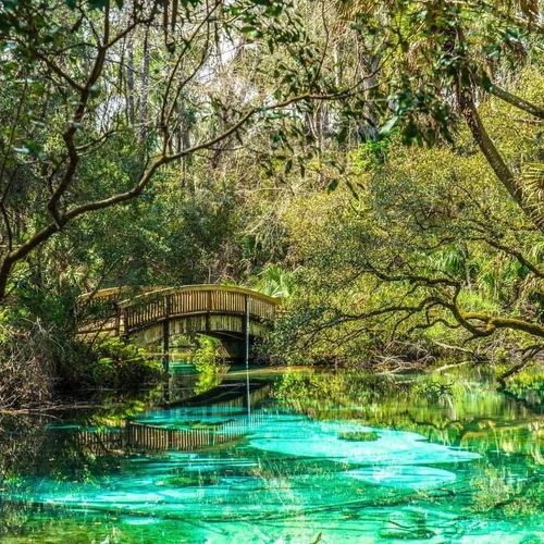 5 Natural Springs Near Orlando - Complete Guide
