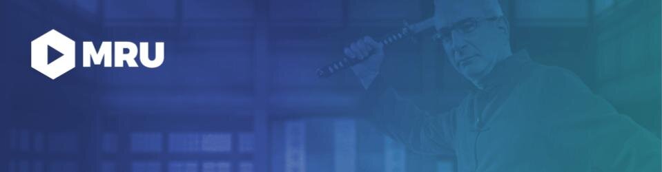 Mastering Economics Course (MRU) — Avela