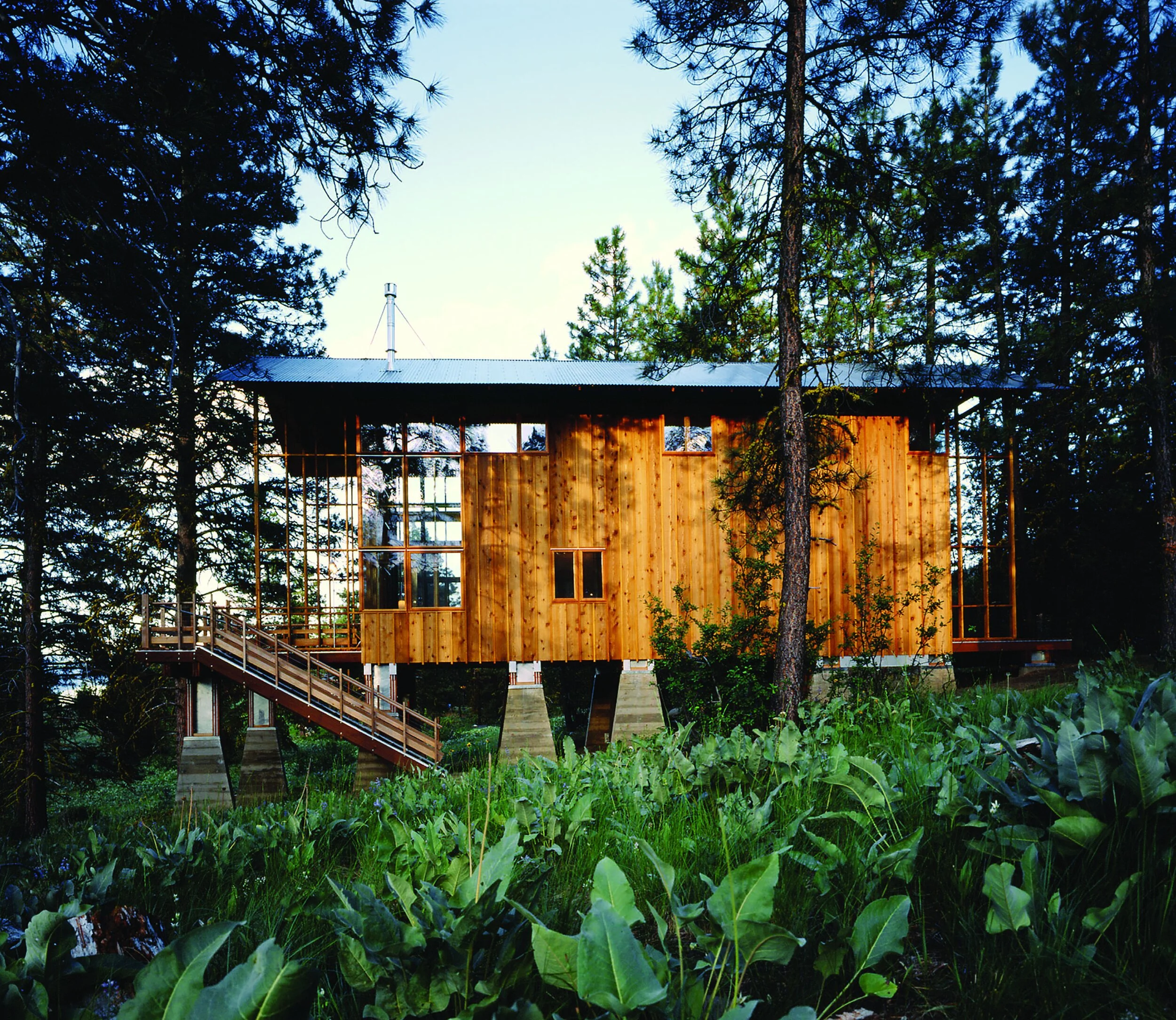 Cutler Anderson Architects — PINE FOREST CABIN