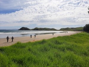 Coromandel Coastal Walkway | Self-Guided NZ Walk — Hike & Bike Coromandel