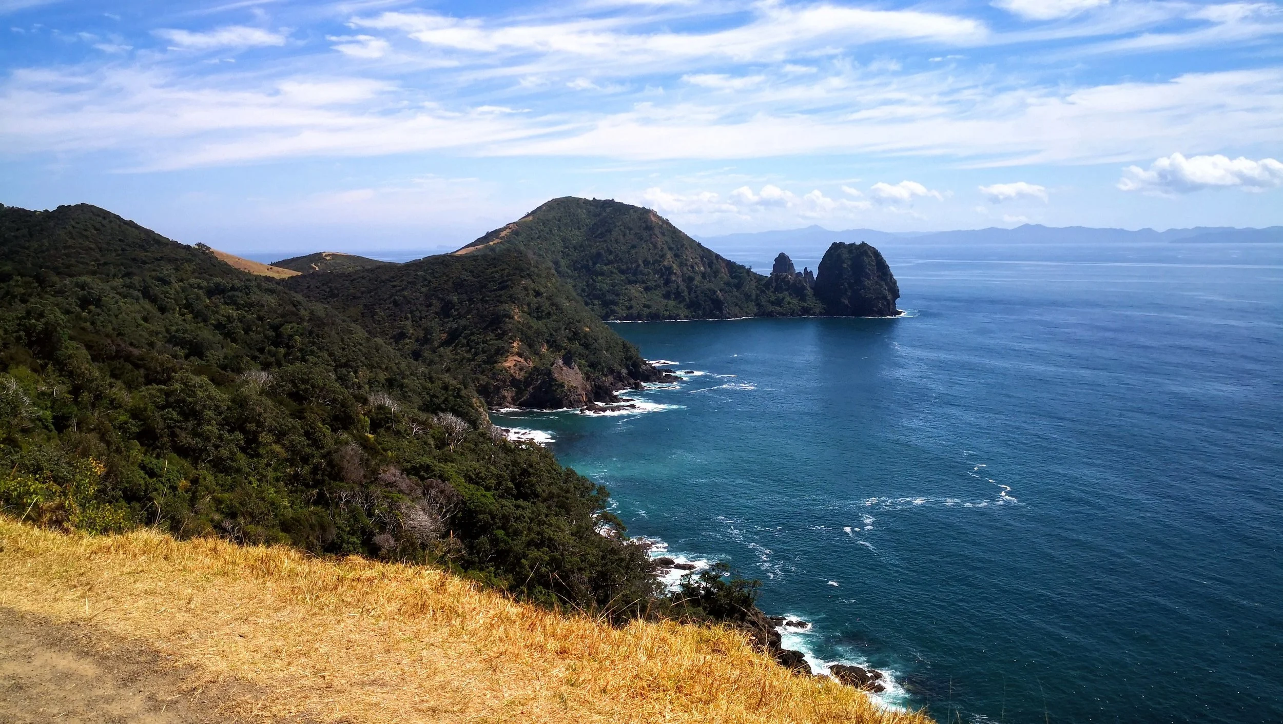 Coromandel Coastal Walkway | Self-Guided NZ Walk — Hike & Bike Coromandel