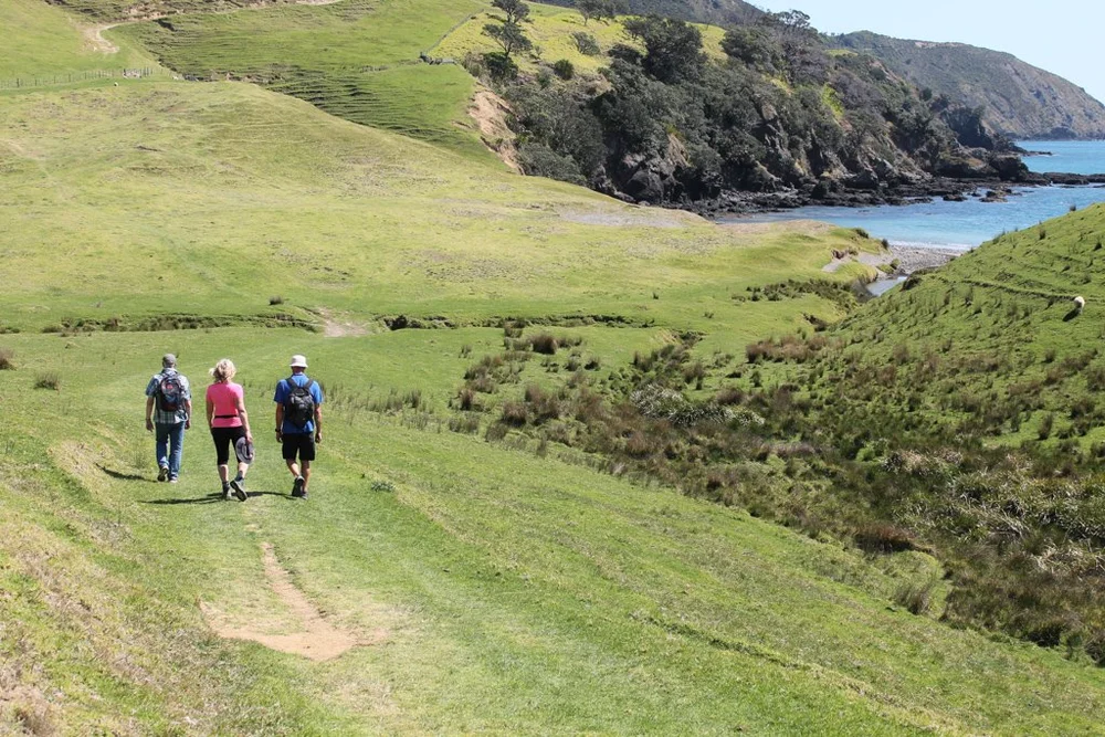 Coromandel Coastal Walkway | Self-Guided NZ Walk — Hike & Bike Coromandel