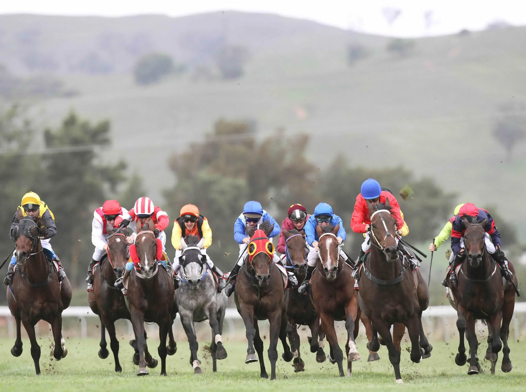 Events Calendar — Visit Gundagai