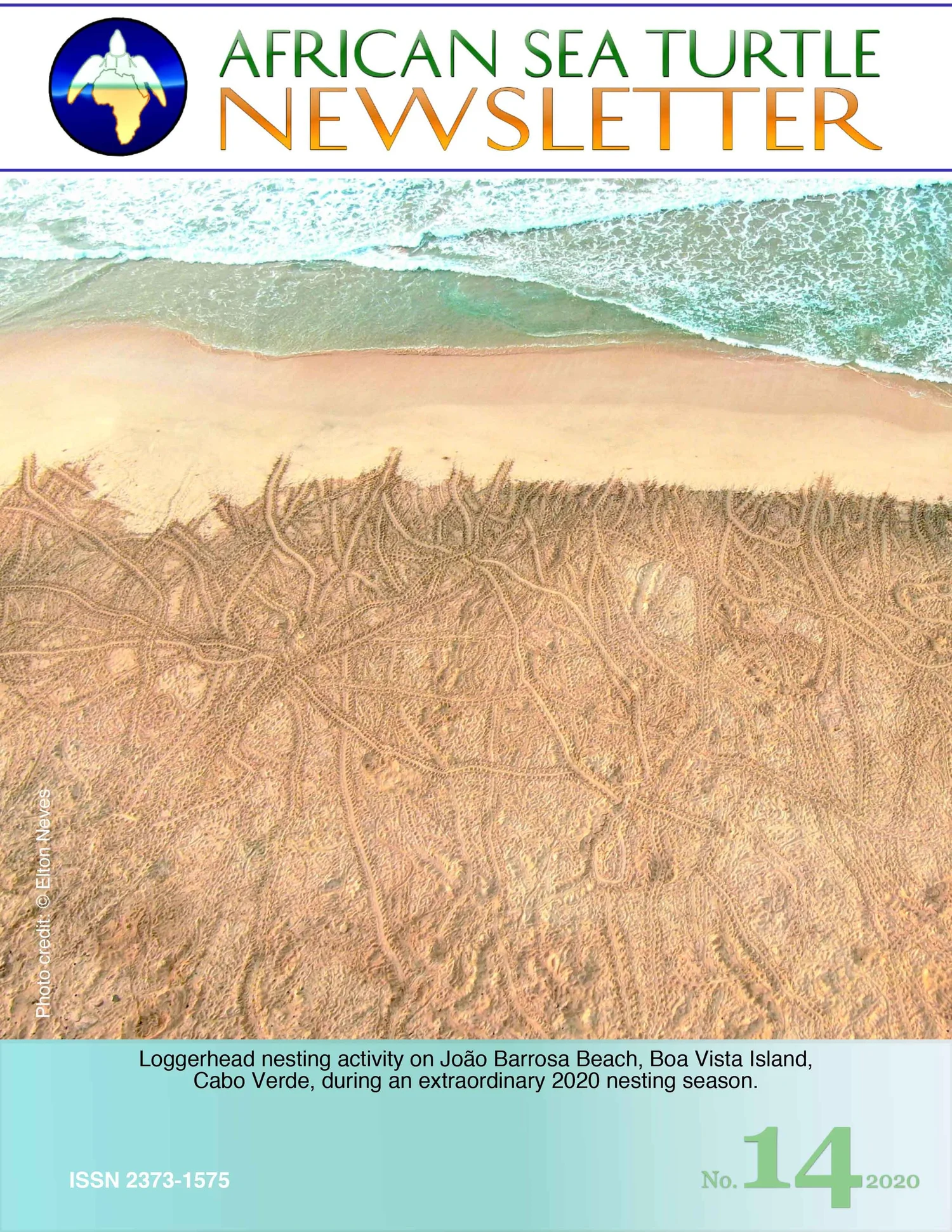 African Journal of Sea Turtle Biology and Conservation — Ocean Ecology ...
