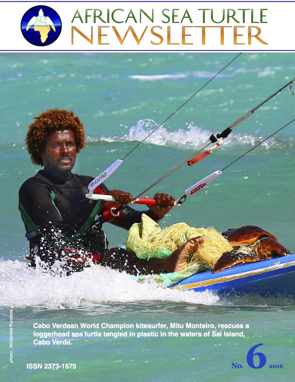 African Journal of Sea Turtle Biology and Conservation — Ocean Ecology ...