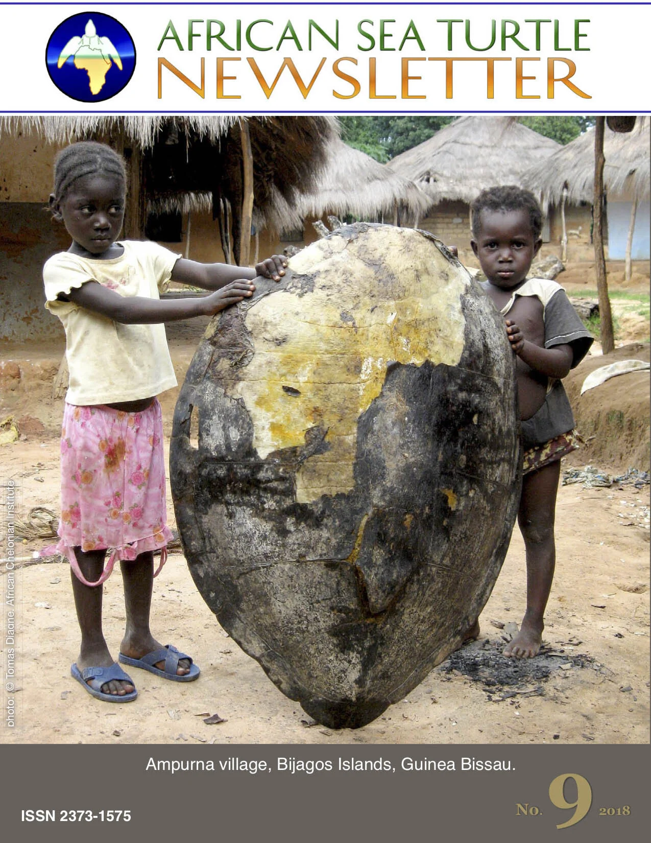 African Journal of Sea Turtle Biology and Conservation — Ocean Ecology ...