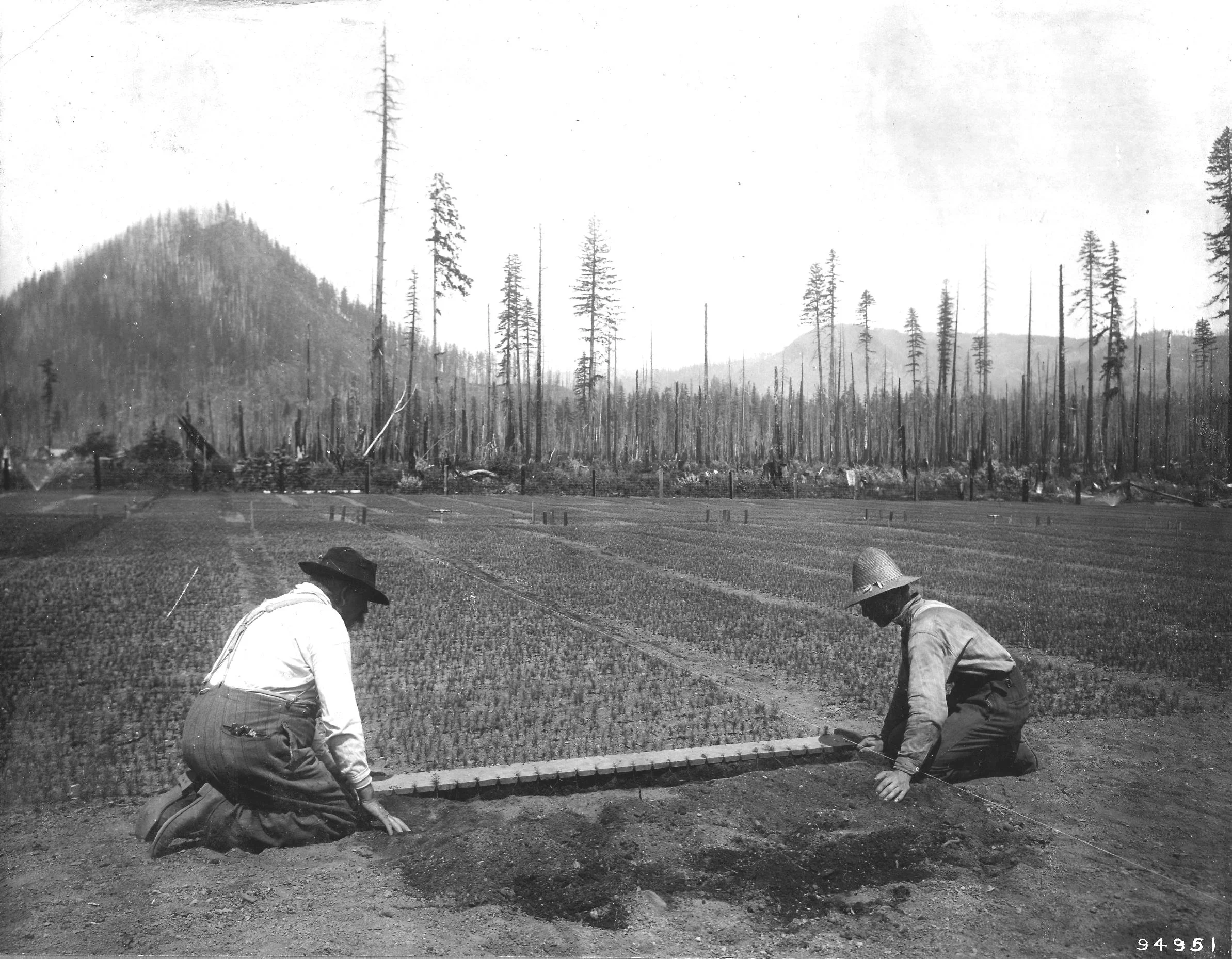 Historic Wind River