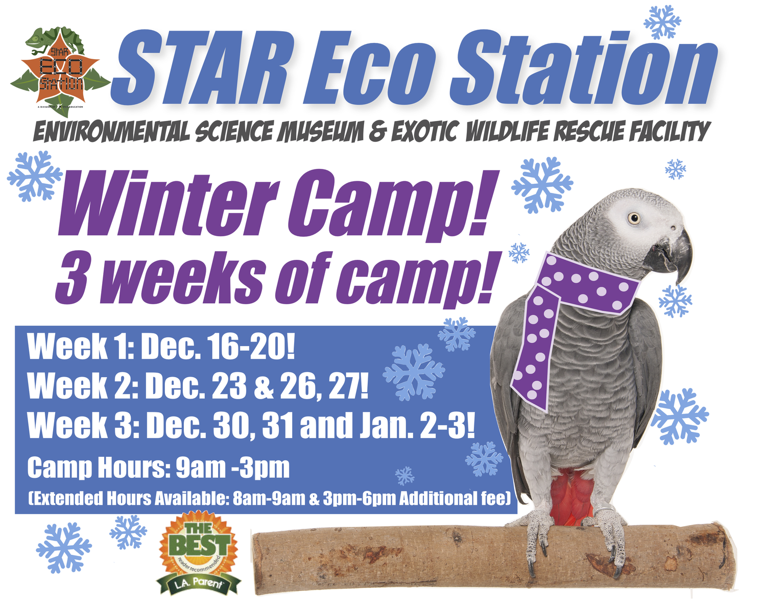 STAR Education