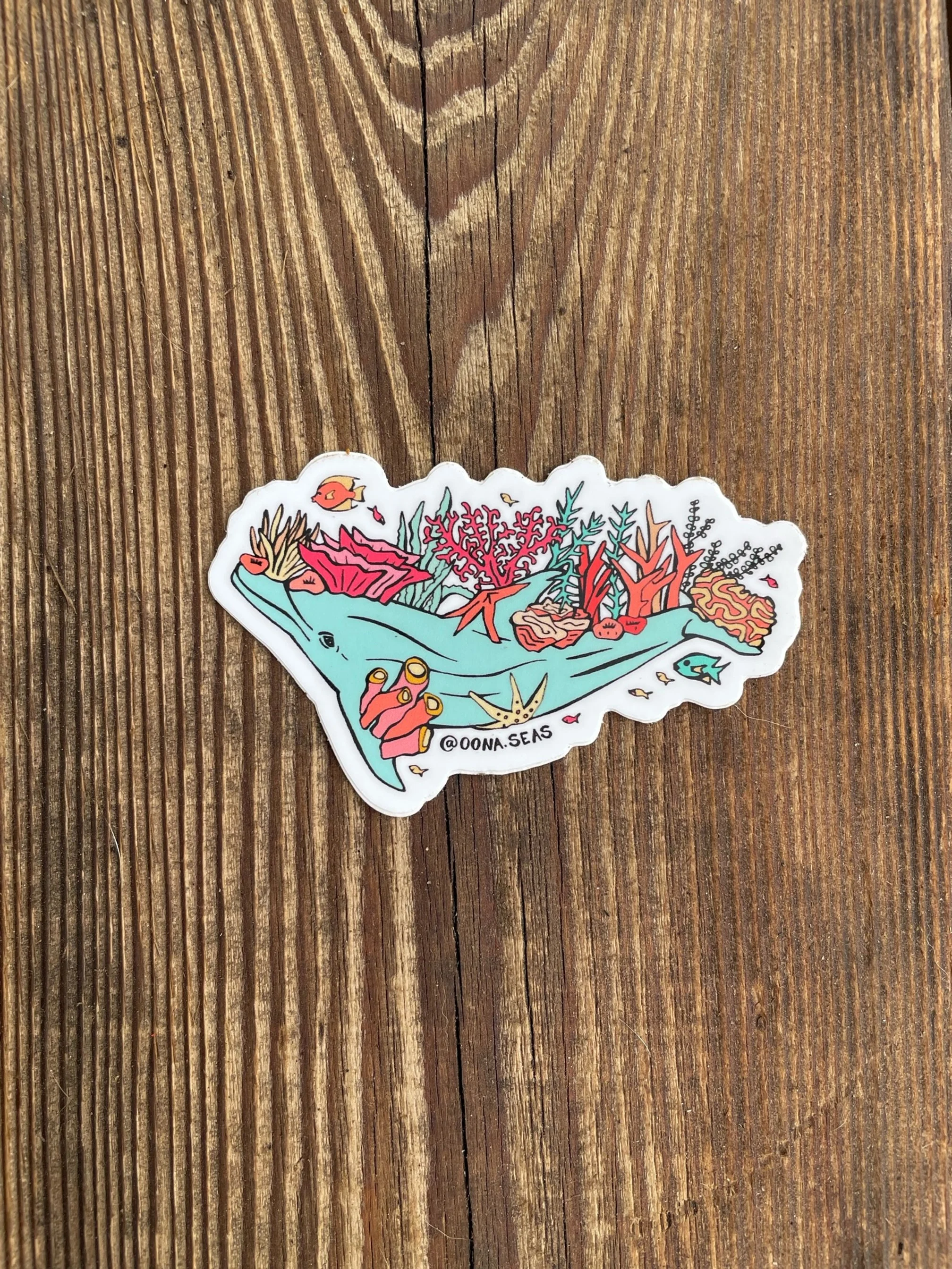 Dolphin Reef Sticker — Oona Seas