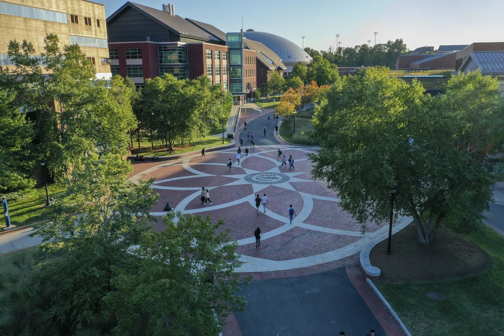 Join the Team — SCIOLINO LAB